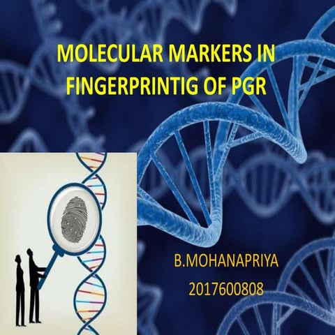 fingerprinting | PPT