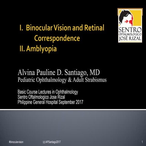 2017 Binocular Vision & Amblyopia | PDF | Eye and Vision Conditions | Diseases and Conditions