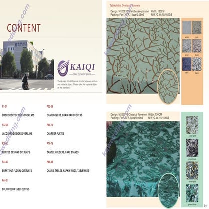 2017 catalogue Kaiqi | PPT