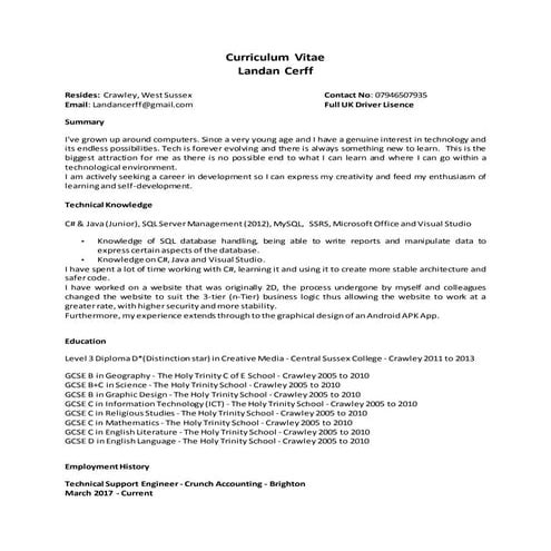 2017 curriculum vitae | DOCX