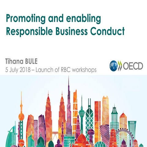 Promoting and Enabling Responsible Business Conduct | PDF