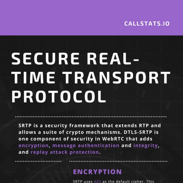 The Fun and User-Friendly Guide to the Secure Real-time Transport ...