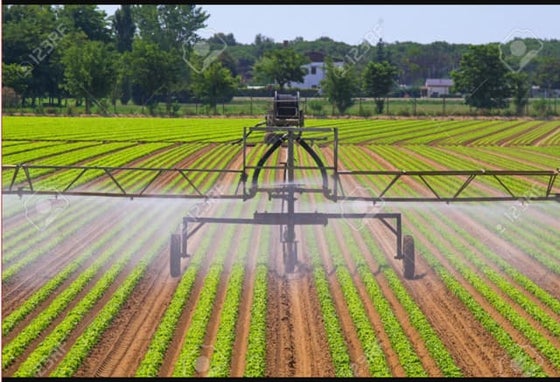 Here Are Signs That You’Re Over-Fertilizing Your Plants | PDF