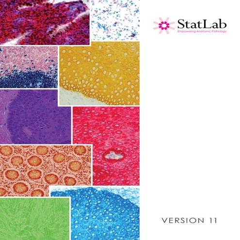 2018 StatLab catalog | PDF