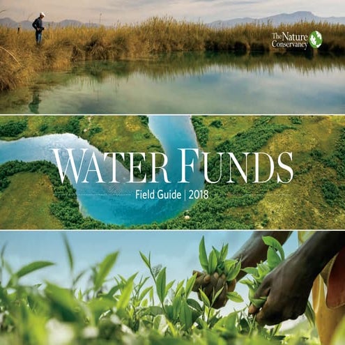 2018-WF-Field-Guide_online-final.pdf