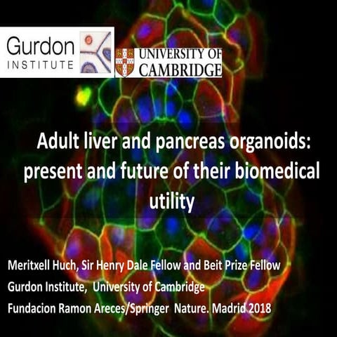 Meritxell Huch - Wellcome Trust/Cancer Research UK Gurdon Institute ...