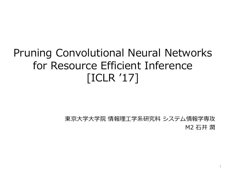 Dl Hacks Pruning Convolutional Neural Networks For Resource Efficien