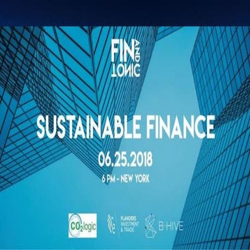 The Future of Sustainable Finance | PDF