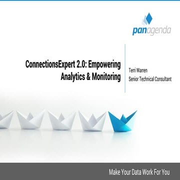 ConnectionsExpert 2.0: Empowering Analytics & Monitoring | PDF