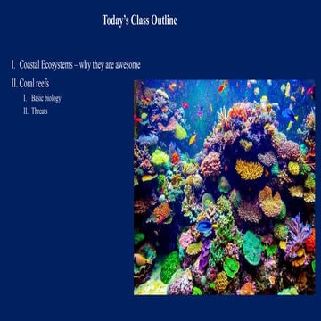 Coral reef presentation | PPTX