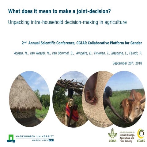 What does it mean to make a joint decision? Unpacking intra-household ...