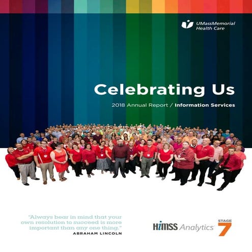 2018 UMMHC IS Annual Report | PDF