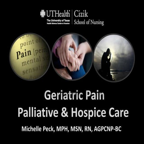 2018 geriatric pain palliative and hospice care | PPT
