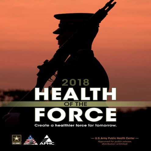 2018 healthoftheforcereport | PDF