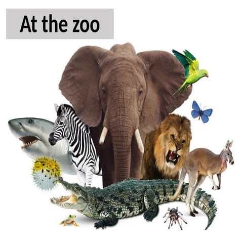 2018_ingles4P_U4_Vocabulary_At the zoo.pptx