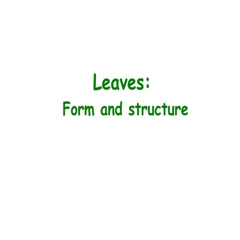 Anatomy of a dicot leaf | PPTX