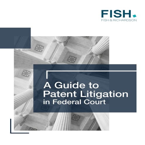 2019 q4-guide-to-patent-litigation-in-federal-court final | PDF