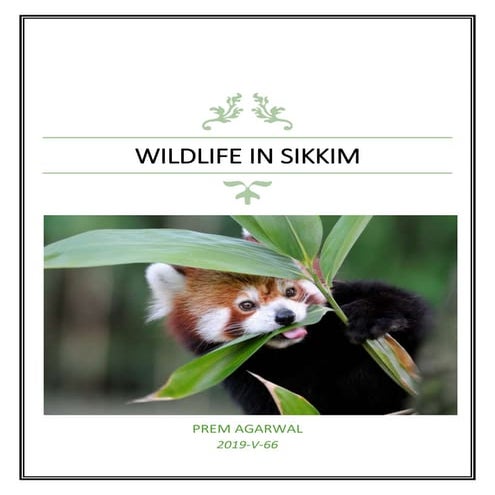 Wildlife in Sikkim | DOCX