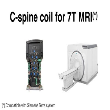 20190718 7 t_spine_coil | PDF