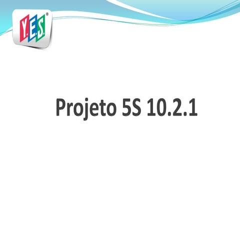 Programa 5s-paulino-francischini | PDF