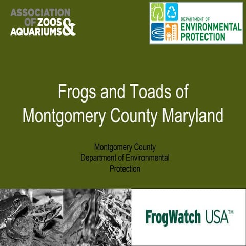 2019 Frogs and Toads of Montgomery County, MD | PPT