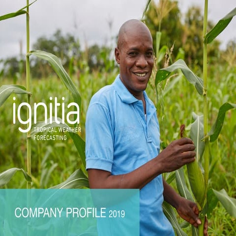 2019 Ignitia Company Profile | PDF