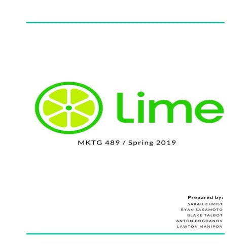 2019 Marketing Plan - Lime | PDF