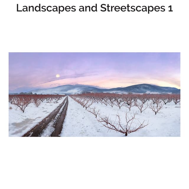 2019 PEC Photo Contest Finalists | PDF