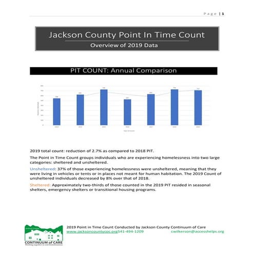 2019 point in time count overview 071819 rev | PDF