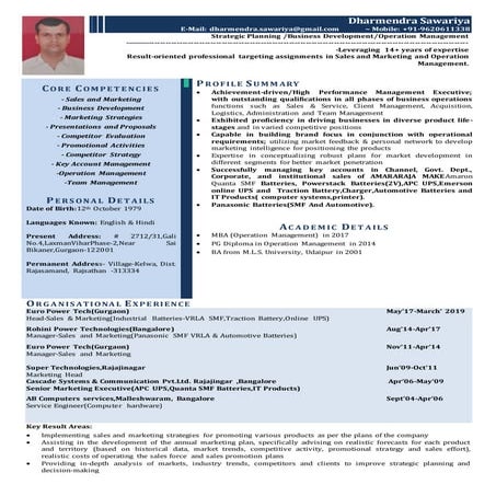 2019 professional cv dharmendra | DOCX