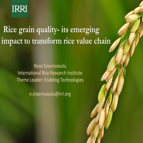Rice grain quality and its value chain | PDF