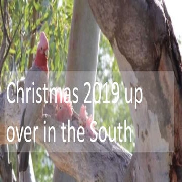 2019 Xmas Pptx