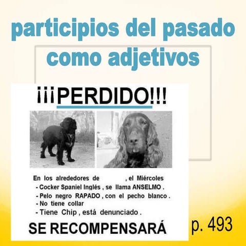 SPA 201 Participios del pasado | PPTX