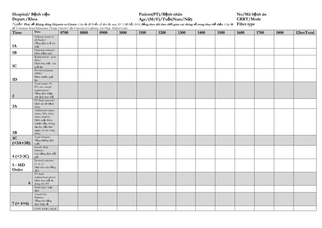 Crrtflowsheet | DOCX
