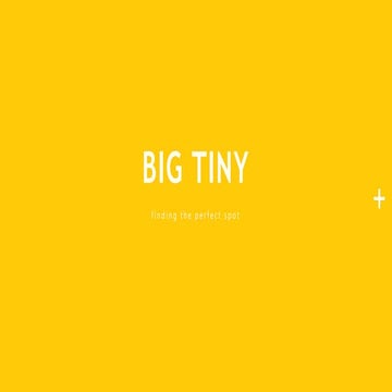 Big Tiny | PPT