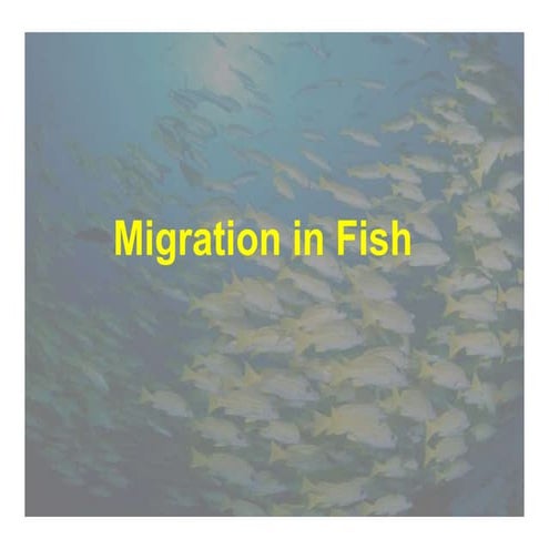 Fish migration (Animal Behavior) Catadromous, Anadromous | PDF