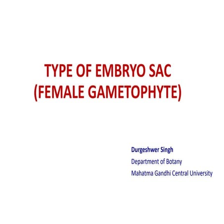 The Embryo sac Structure of Angiosperms | PPTX
