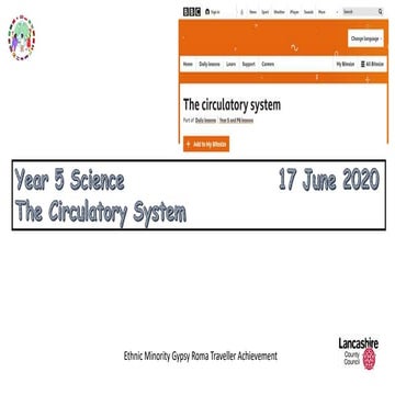 the circulatory system.ppt for high school students | PPT