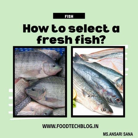 How to select fresh fish. | PPT