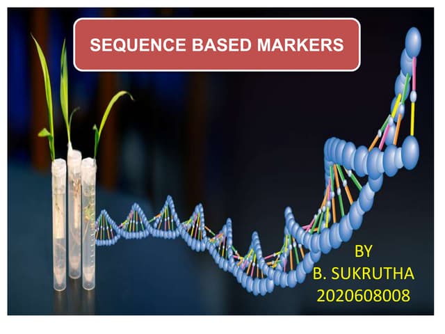 Sequence Based Markers Pptx