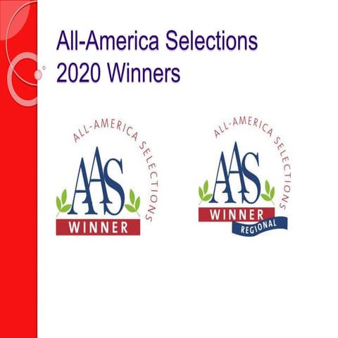 2020 AAS Winners | PPT