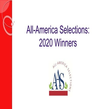 2020 AAS Winners | PPT