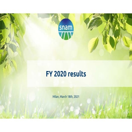 FY 2020 results | PDF