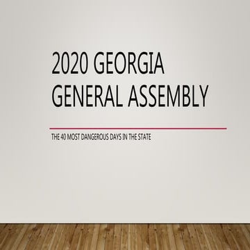 2020 georgia general assembly | PPT