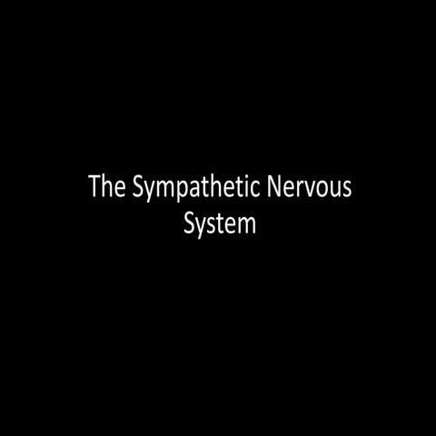 The Sympathetic Nervous System | PPT
