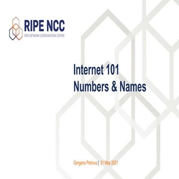 Internet 101: Numbers and Names | PPT