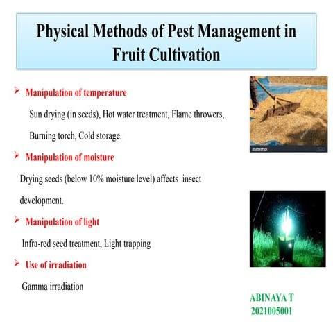 Pest of fruit crop, plantation and medicinal crop | PPT
