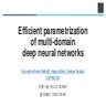 文献紹介：Efficient Parametrization of Multi-Domain Deep Neural Networks | PPT