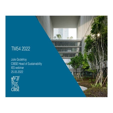 Julie Godefroy - TM54 Analysis Webinar | PDF