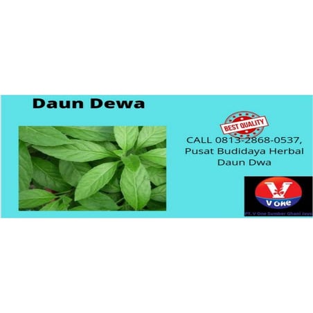 Daun 5 | PDF